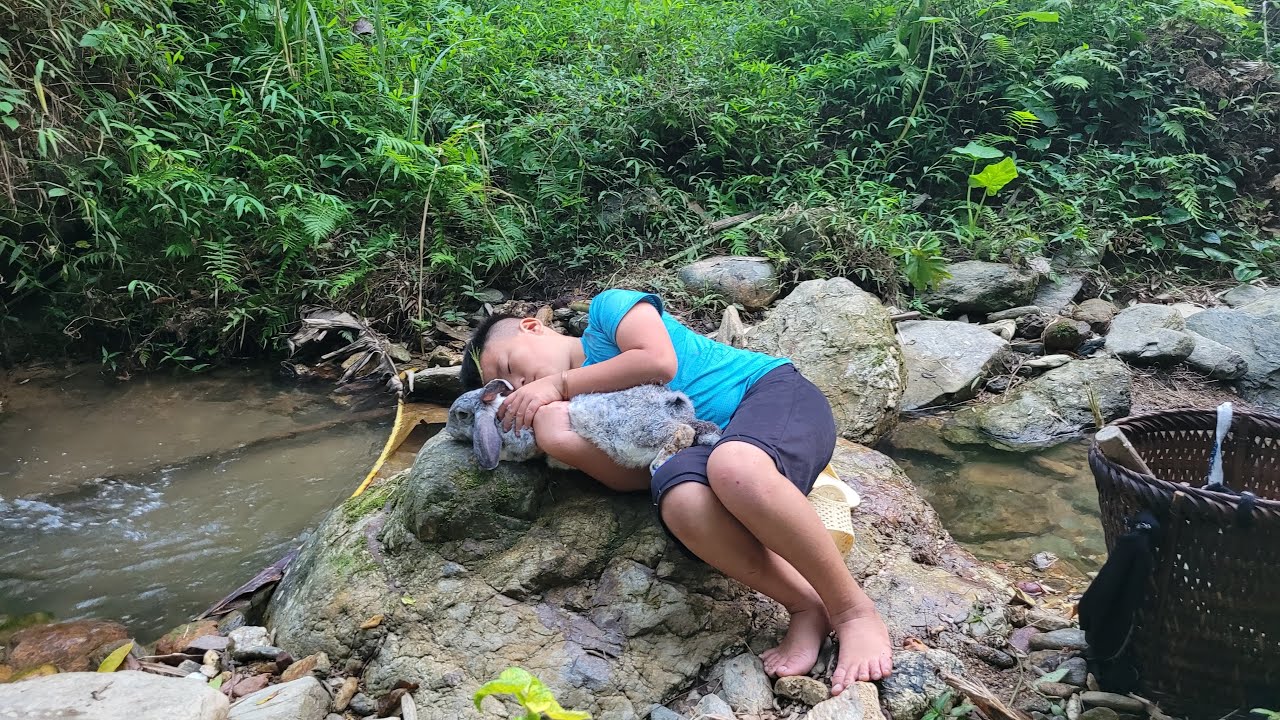 Highland boy Chinh returns after being lost in the forest and brings a ...