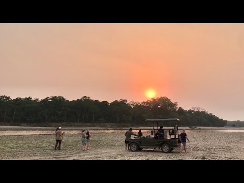 Meghauli Safari | JIMDAR