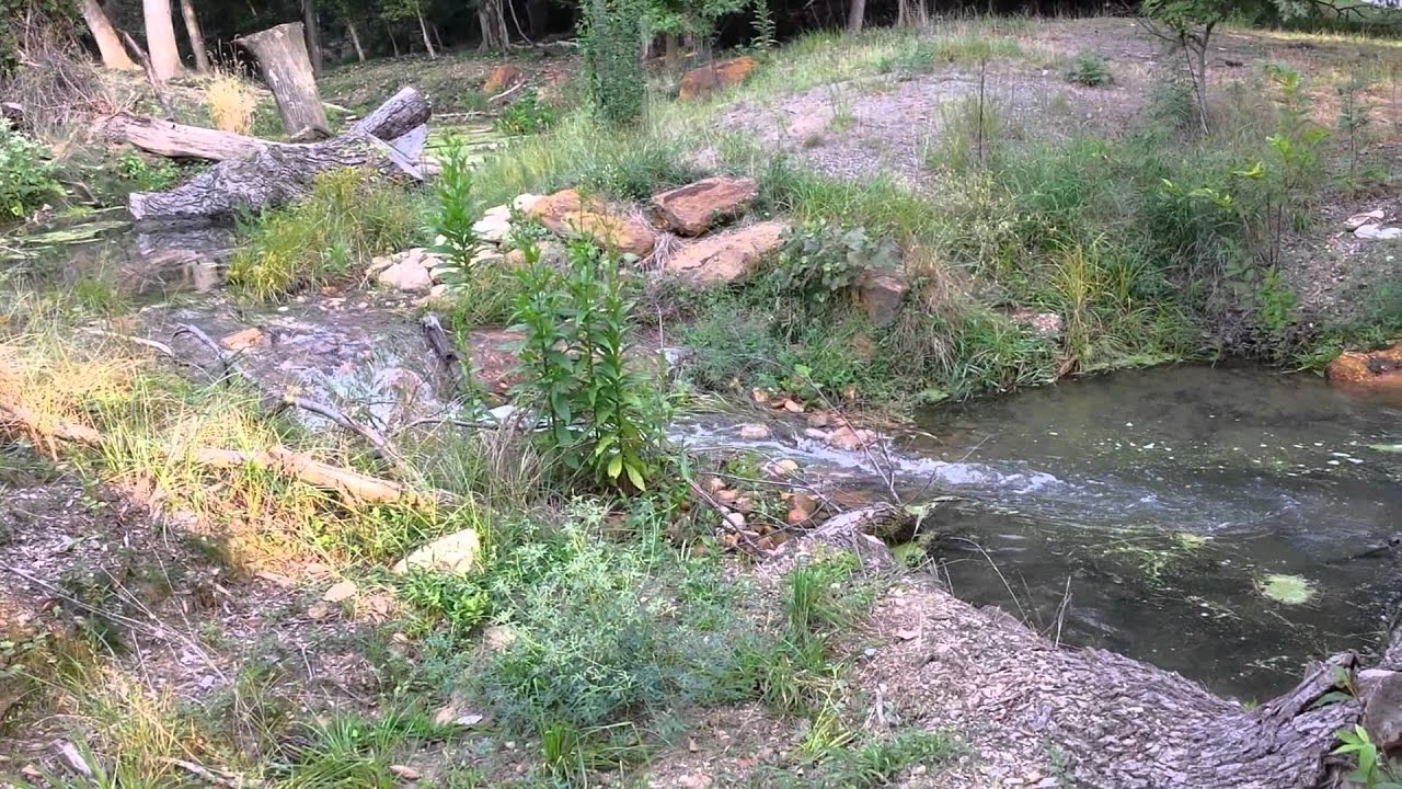 Broad Branch stream - YouTube