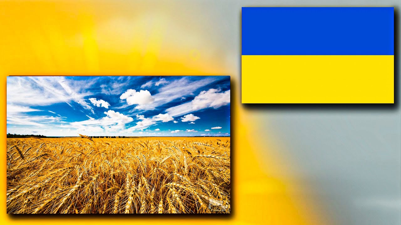 Realistic Country Flags in Nature | Fun With Flags - YouTube