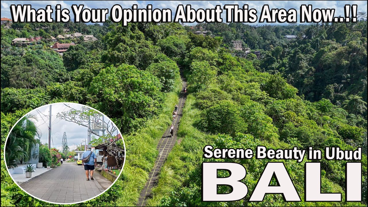 What Is Your Opinion About This Area In Ubud Now..?? Ubud Bali 2025 ...