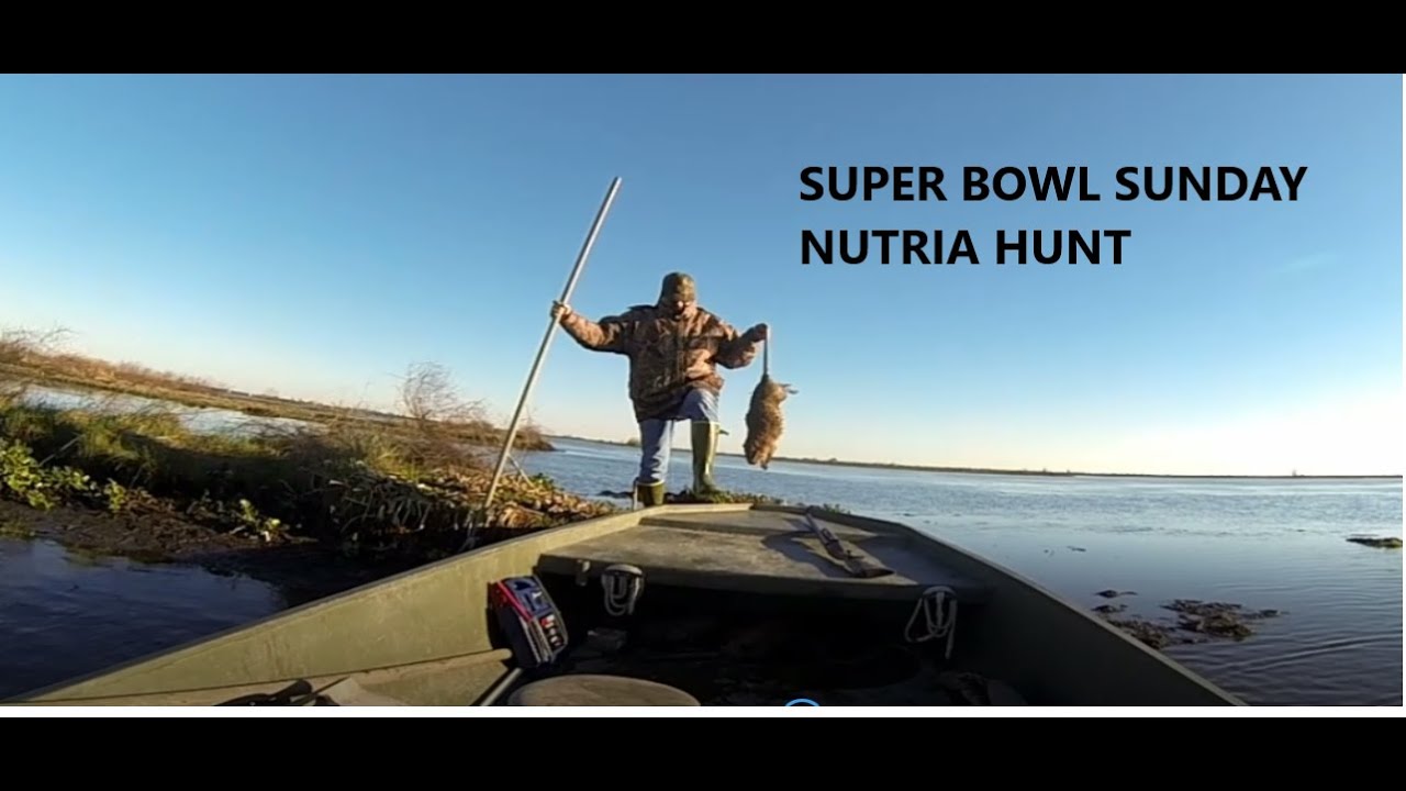 Nutria Rat Hunt Video - Southeast Louisiana - YouTube
