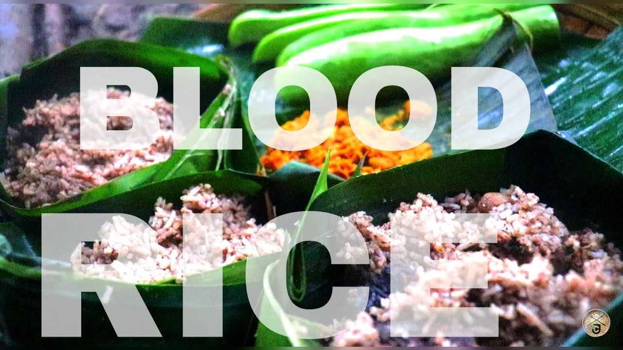 BLOOD RICE | JADOH cooking in Wild : Khasi Traditional Dish : Blood ...