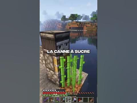 Ferme à canne à sucre #minecraft - YouTube
