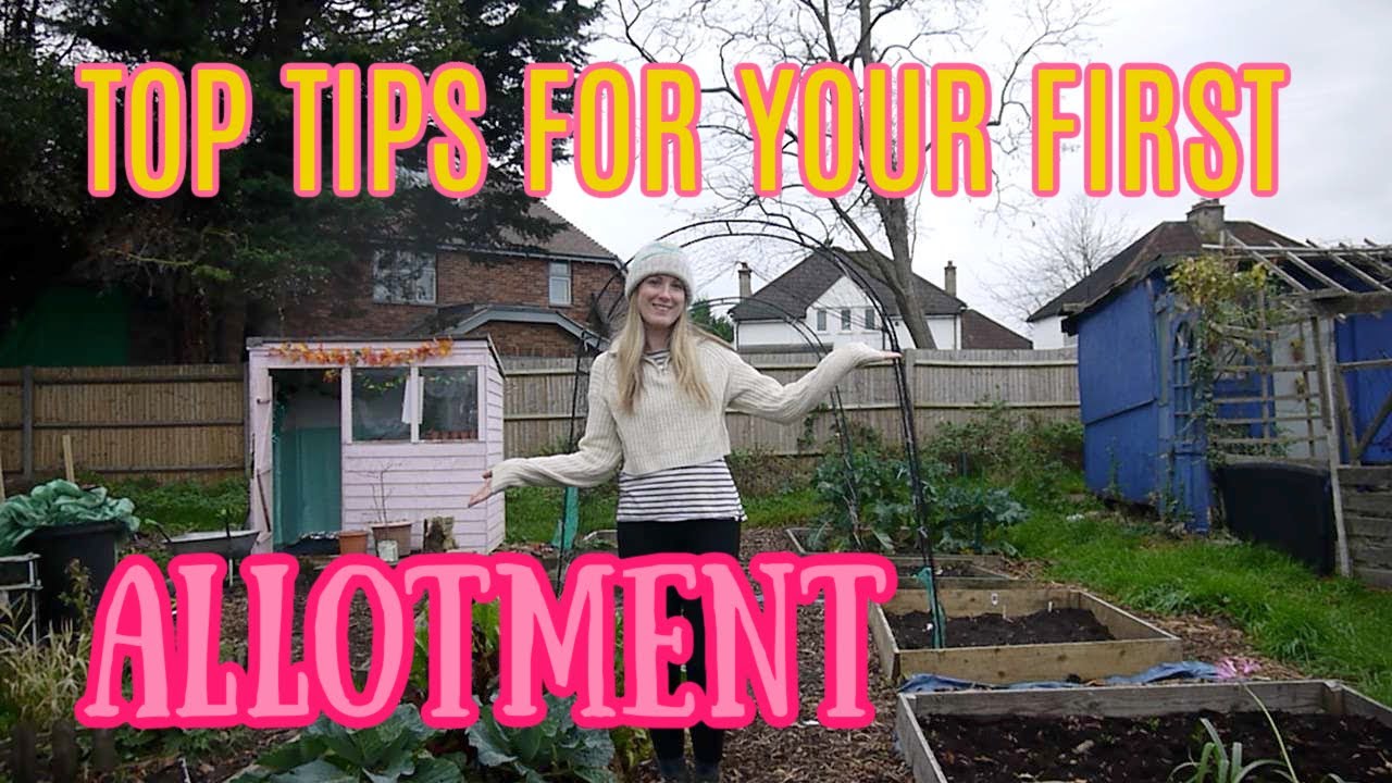 TOP TIPS FOR YOUR FIRST ALLOTMENT PLOT - YouTube