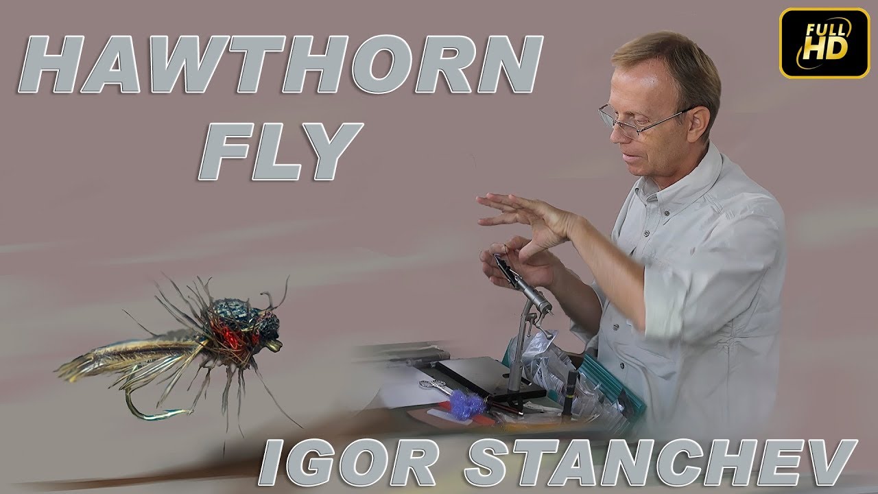 Igor Stanchev Hawthorn Fly - YouTube