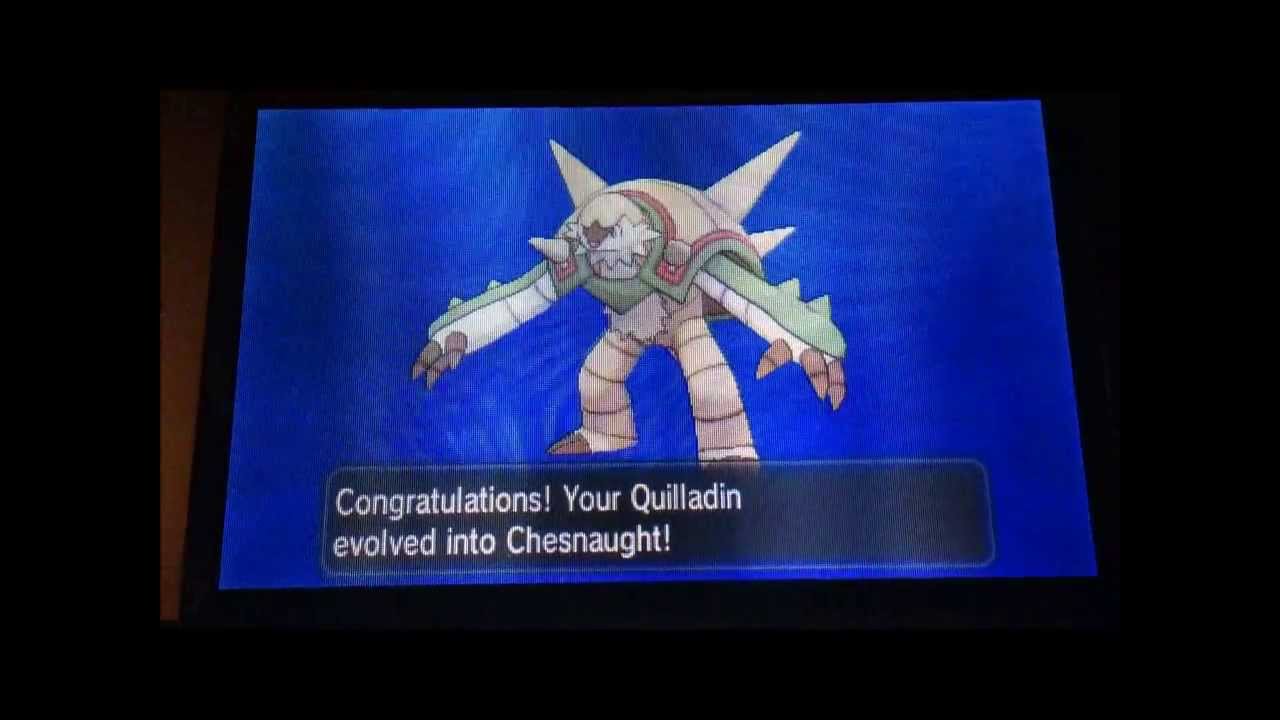 Quilladin Chesnaught Evolution Pokemon - YouTube