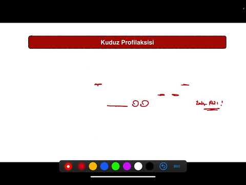 KUDUZ PROFİLAKSİSİ