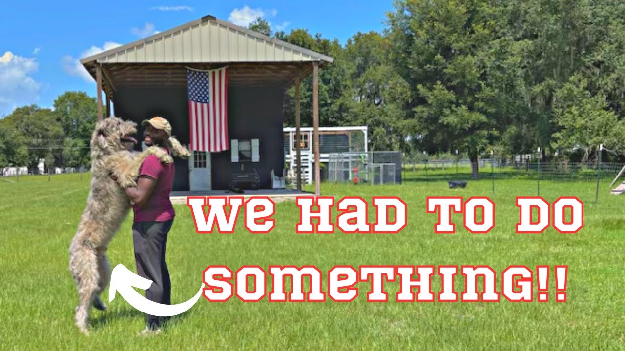 He Really Needed This Bad | Farm Chores - YouTube