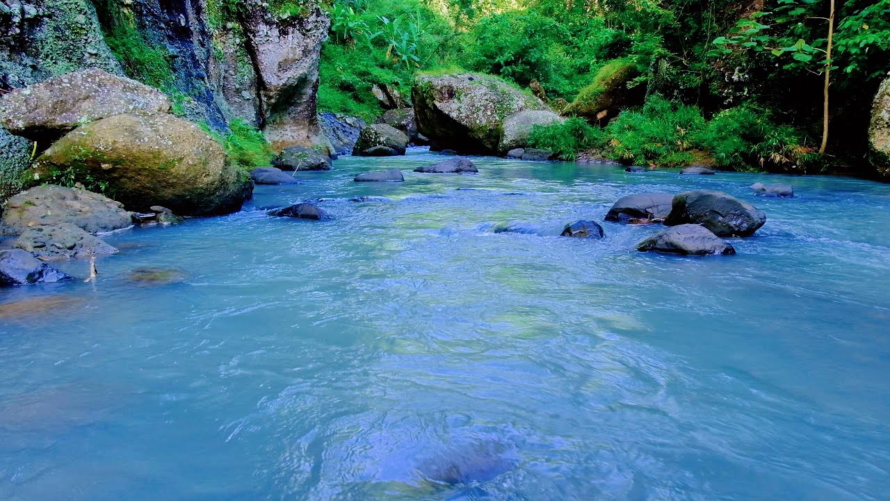 Soft River Flowing in Secret Forest - The Most Soothing Water Sounds ...