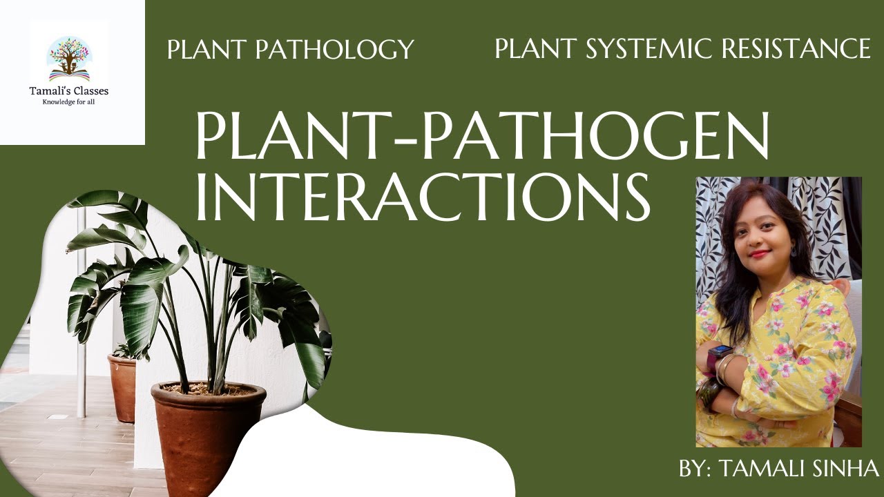 Unveiling the process of plant-pathogen interactions| Systemic ...