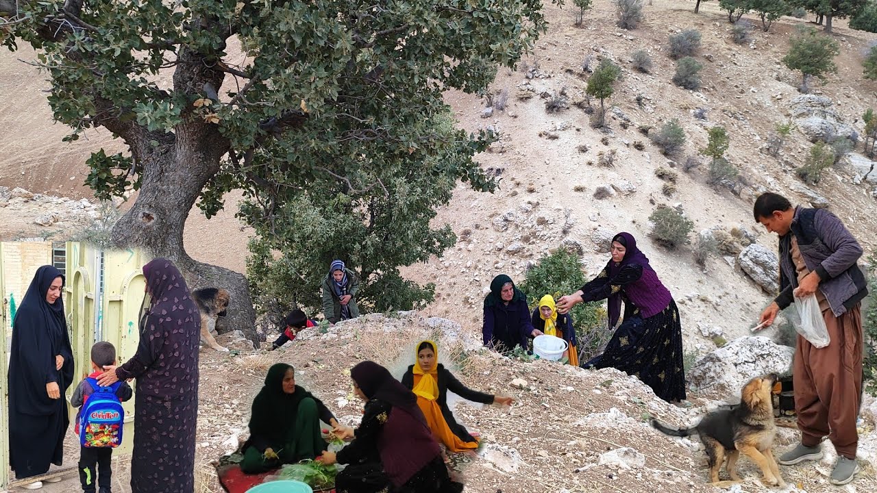 Collecting acorns for sale and expenses of the nomadic family and going to school - YouTube