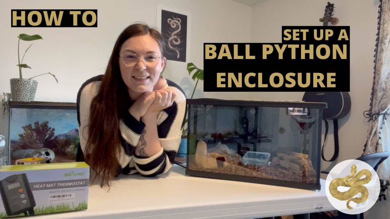 How to Set Up a Basic Ball Python Enclosure - YouTube