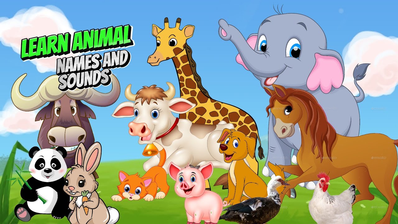 Learn Animal Names and Sounds - YouTube