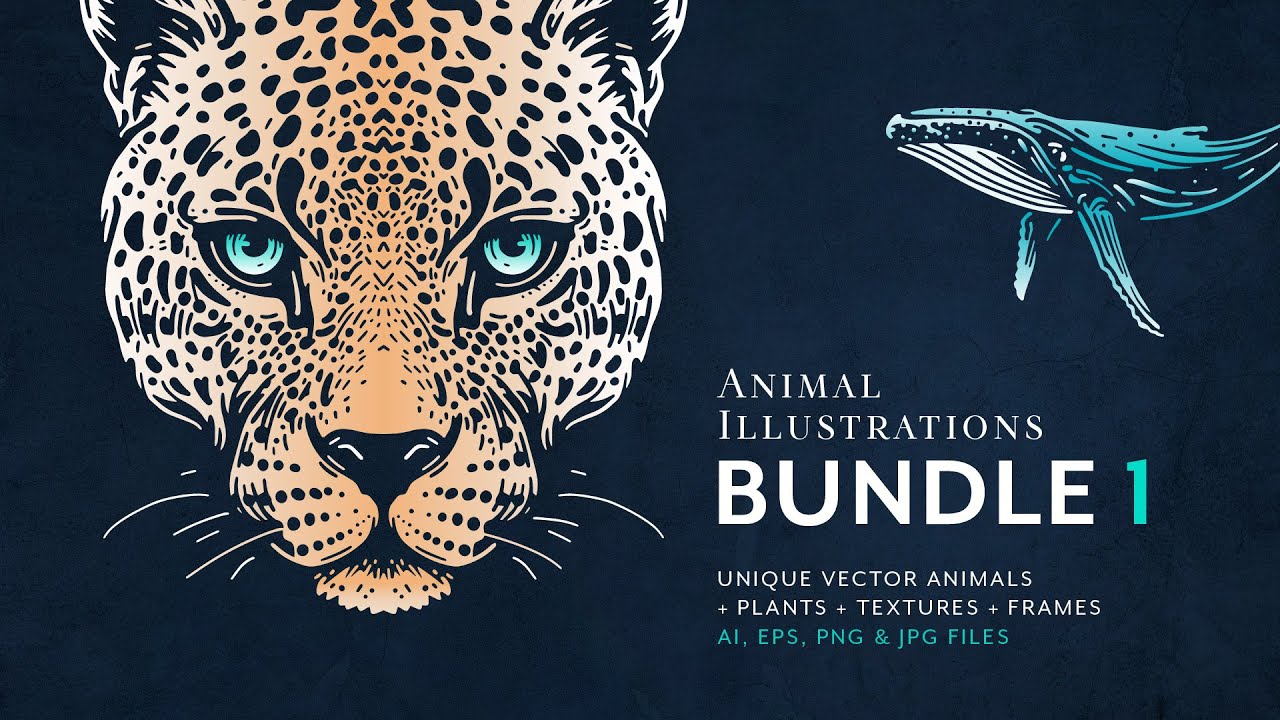Animal Illustration Bundle 1 - YouTube