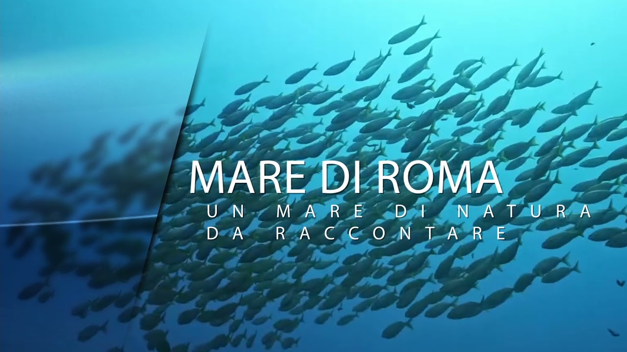 Mare di Roma The sea of Rome - YouTube