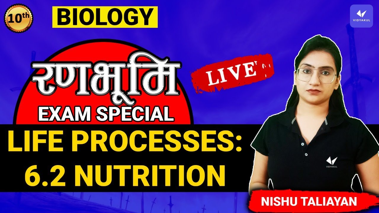 Nutrition in human beings And Amoeba - Life Processes | CBSE Class 10 ...