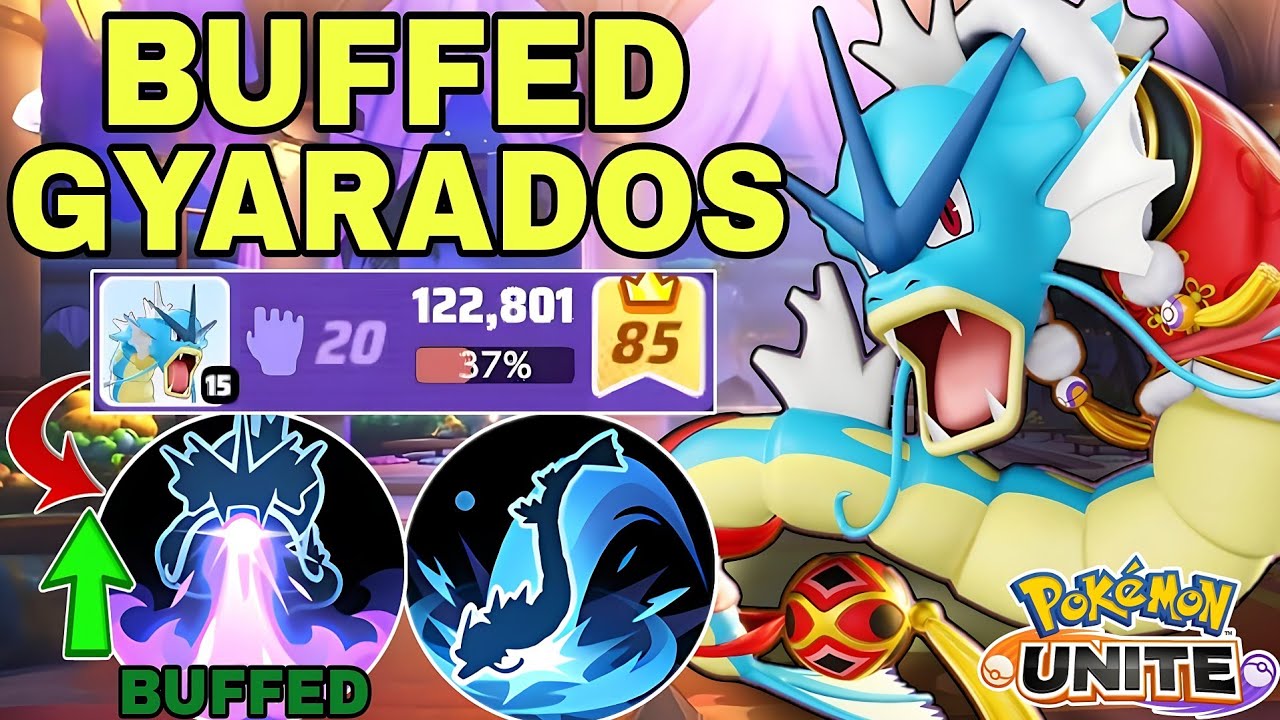 20 KO's | Is GYARADOS This Strong After This Small Buff?!! | Pokemon ...