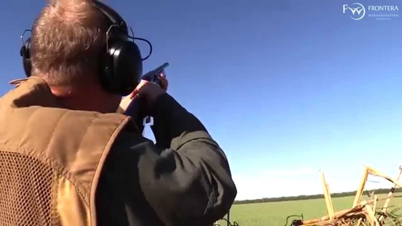 Glenn Group LA ZENAIDA - FRONTERA Wingshooting by BLACKCAT Natural Films - YouTube