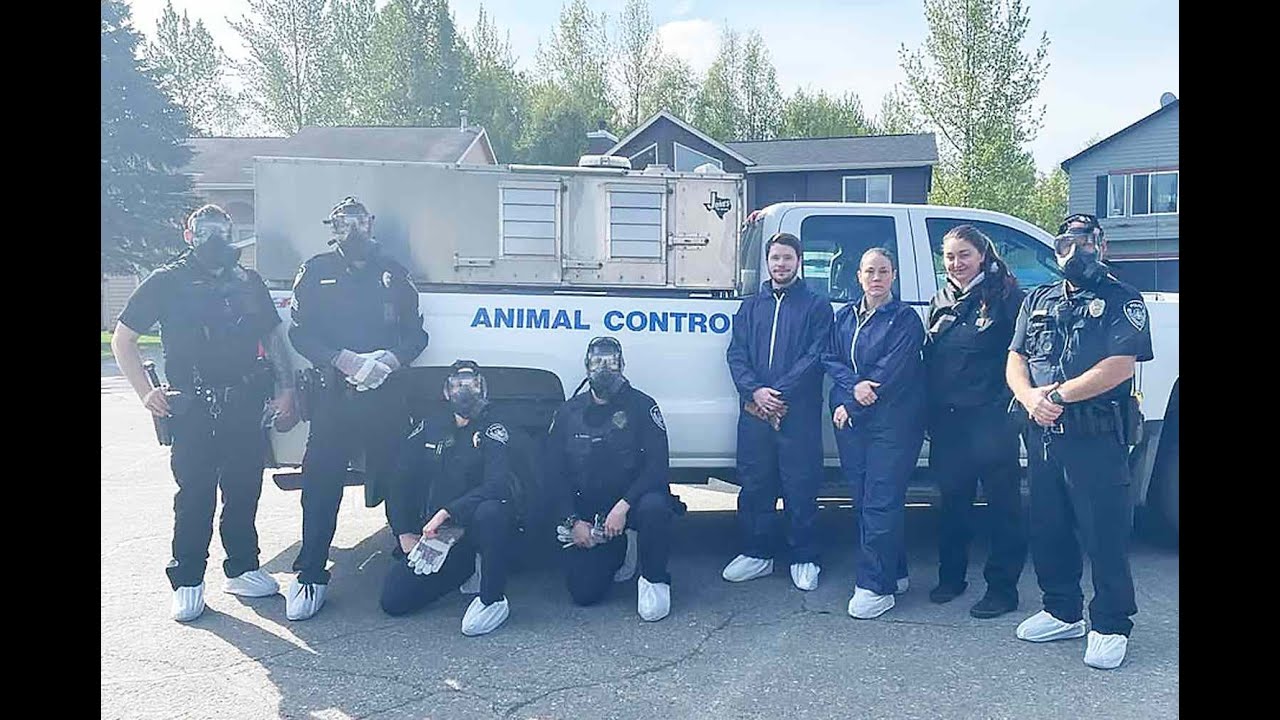 70 Dogs Rescued from Horrific Neglect in Anchorage: Update & Thanks to ...