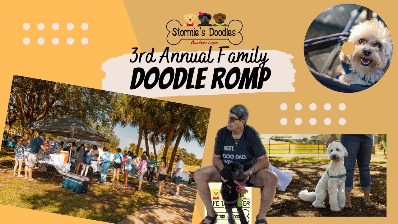 3rd Annual Family Doodle Romp 2022 | Stormie's Doodles - YouTube