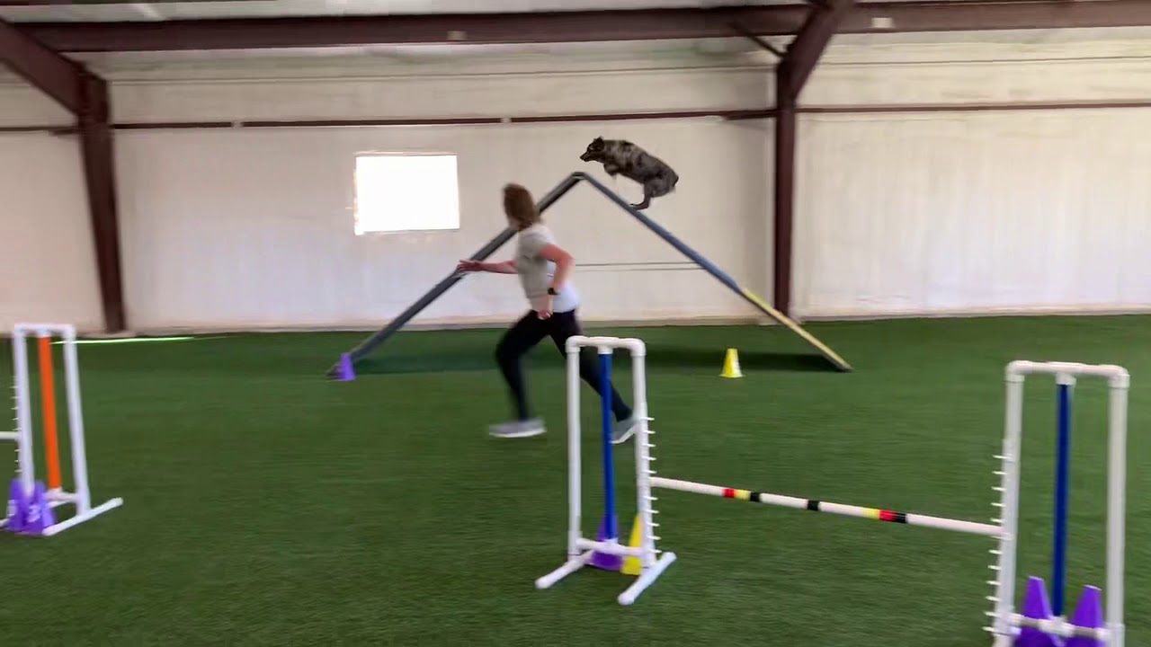 Lisa & Colette NDAL JAN 2021 36x85 - YouTube