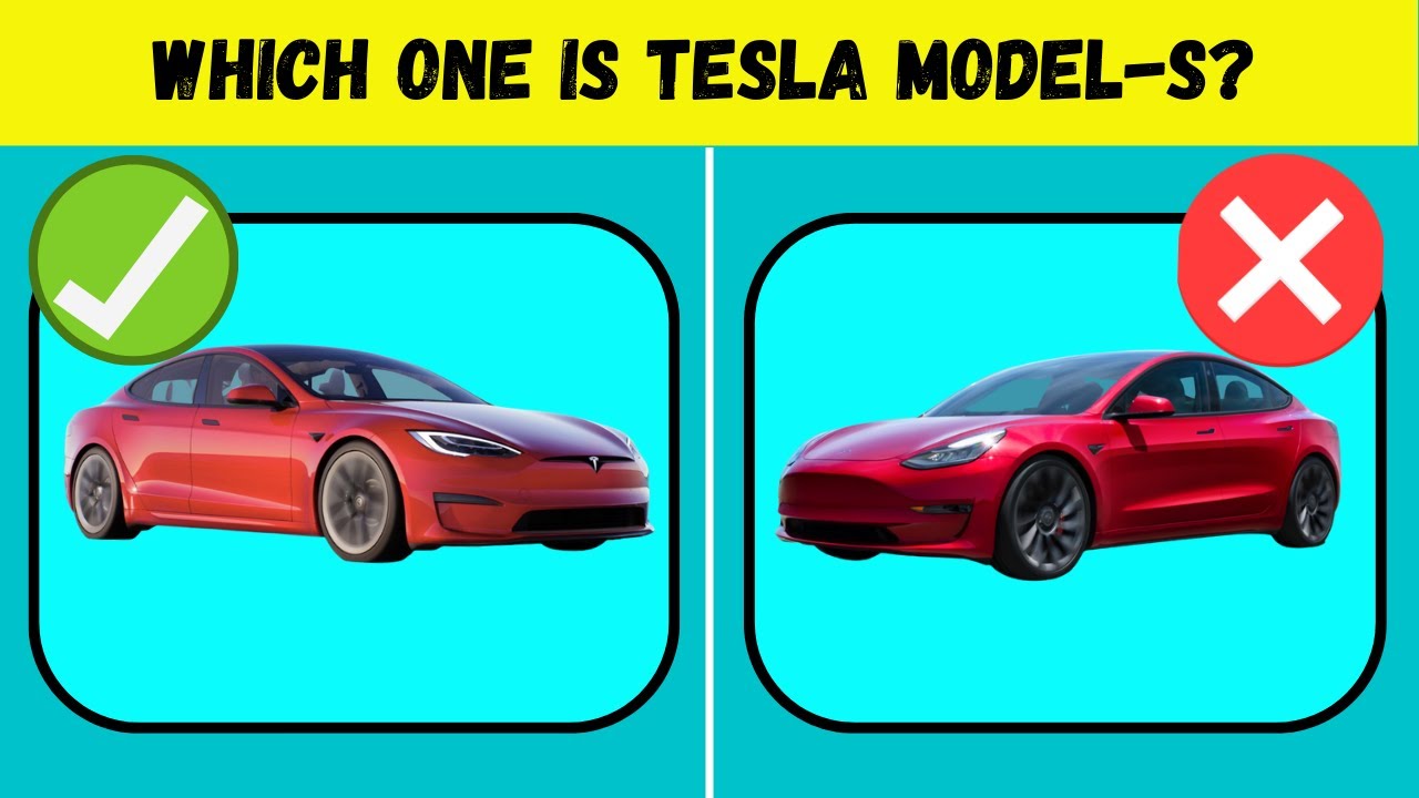 Tesla Model S vs Tesla Model 3 Quiz Challenge 🚘 🧠 - YouTube