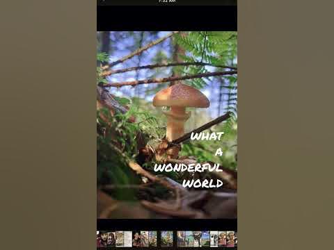 what a wonderful world we live in. beauty is everywhere! take time to ...