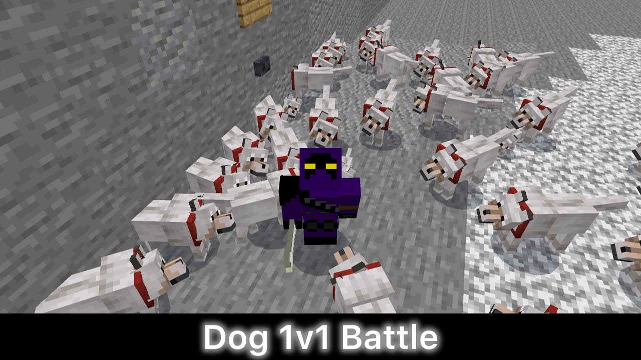 1v1 Dog Battle Fight To The Death - YouTube