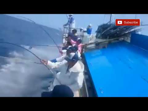 Mancing Ikang Auto Kaya