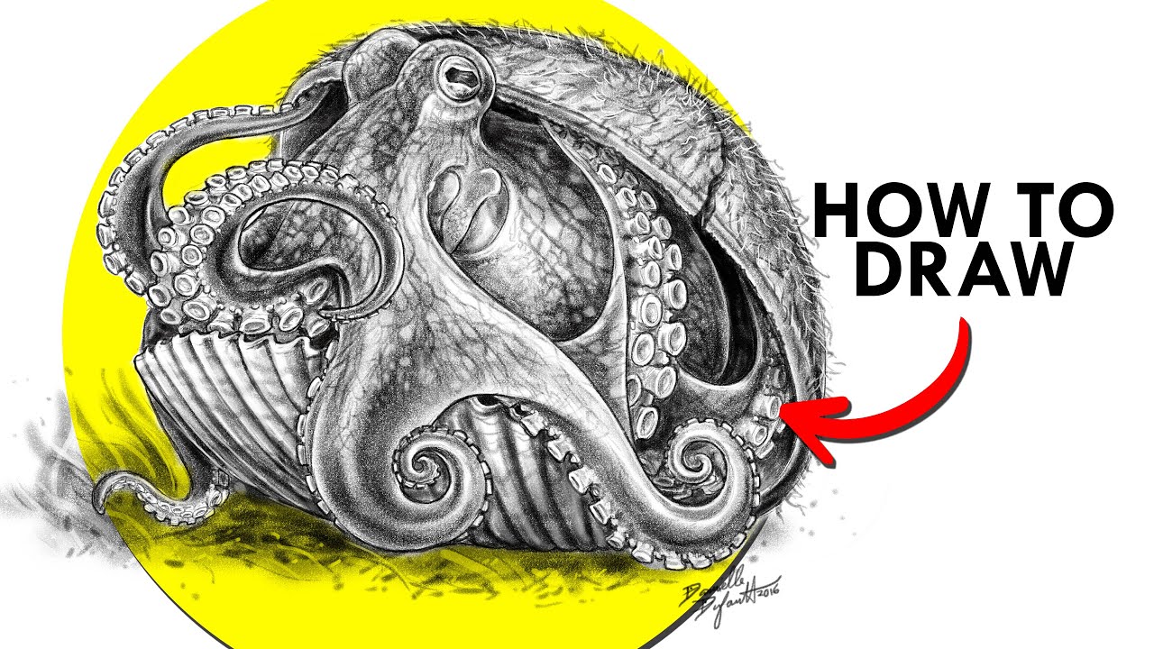 How To Draw A Coconut Octopus - YouTube