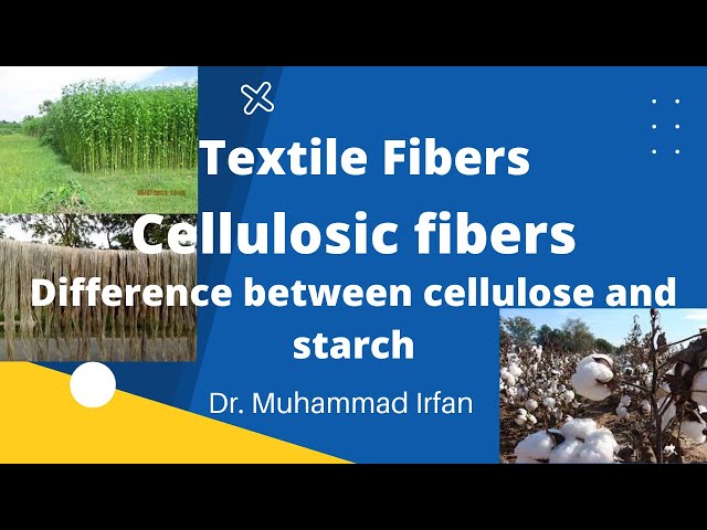 Cellulose Fibers Examples