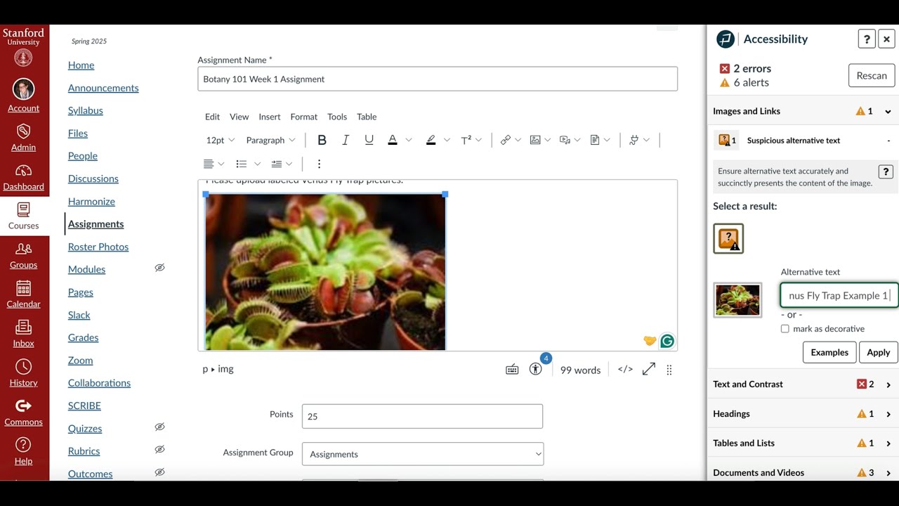 Instructor Accessibility Guide - YouTube