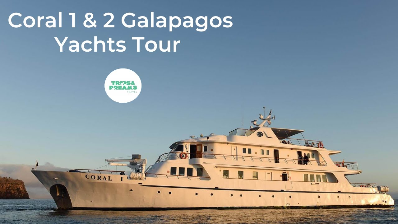 Coral 1 and 2 Galapagos Yachts - Video Tour - YouTube