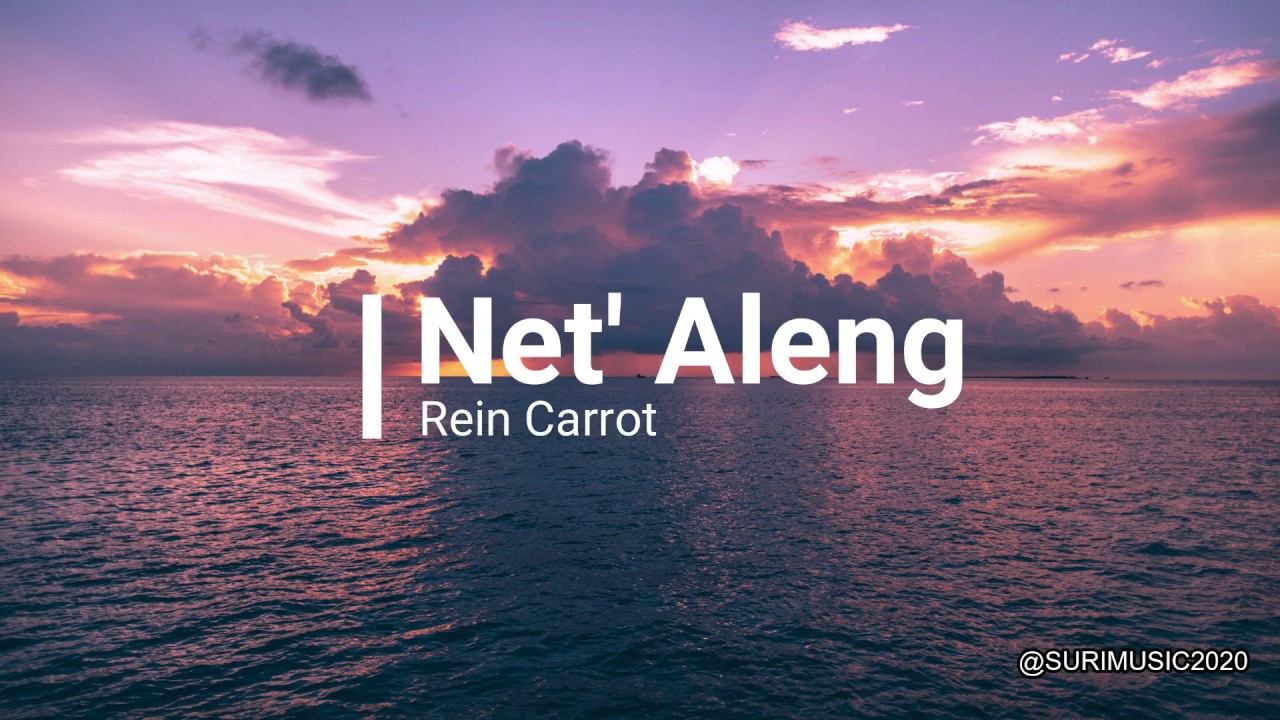 Rein Carrot - Net' Aleng (Official Audio) Suripop - YouTube