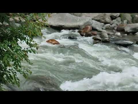 Trending short video| Gentok ❤️❤️👌