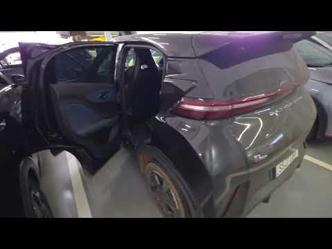 BYD Dolphin mini 180 mil km de revisão 