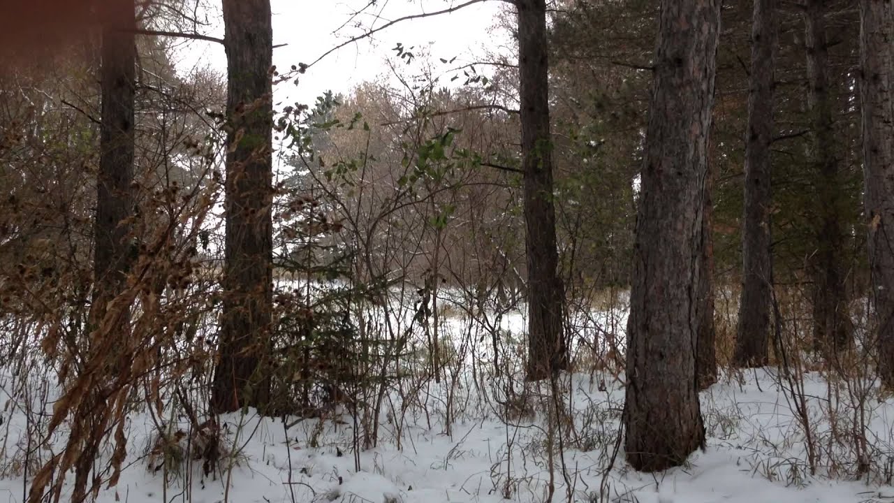 December 9, 2014 - YouTube