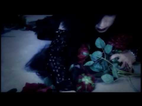 D - Schwarzschild PV