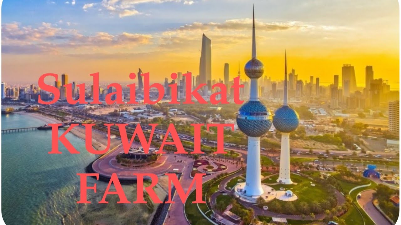 the Kuwait view farm - YouTube
