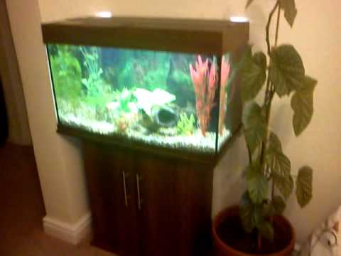 Juwel Rio 125 - YouTube