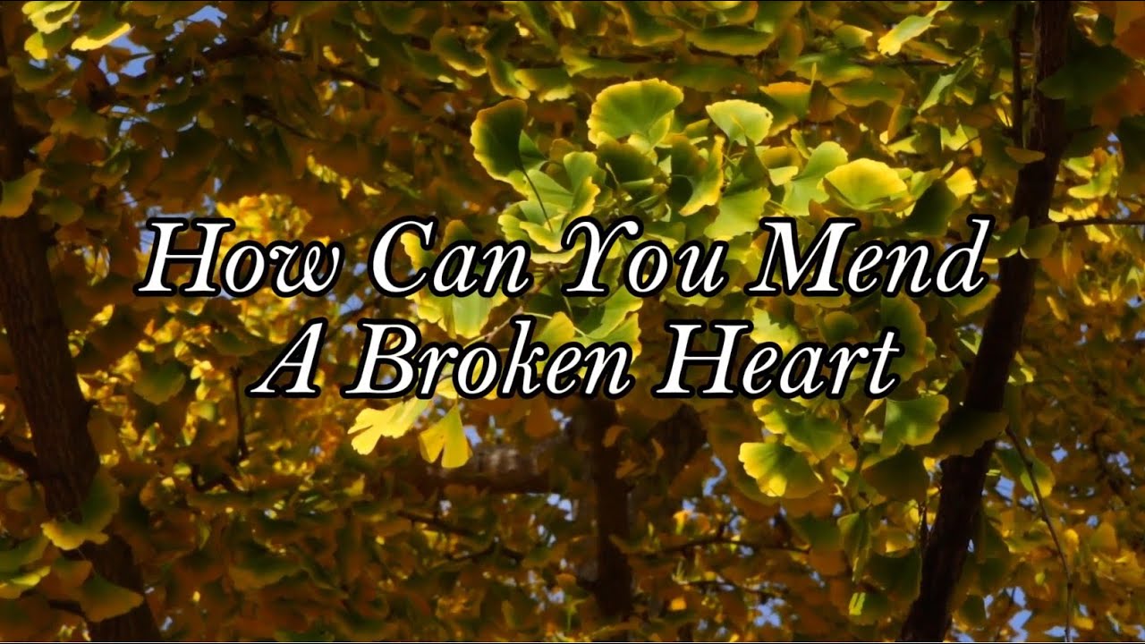 How Can You Mend A Broken Heart (Cover) by Wan Ashraff - YouTube