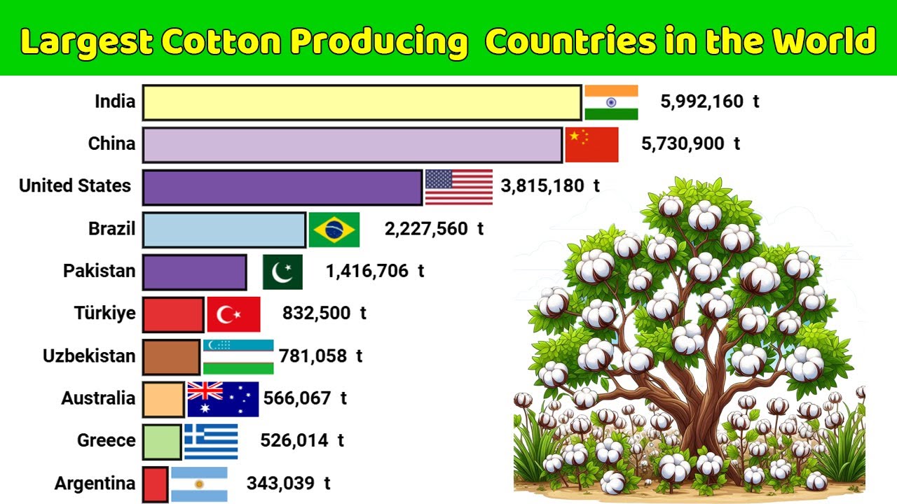 Largest Cotton Producing Countries In The World YouTube largest-cotton-producing-countries-in-the-world-youtube