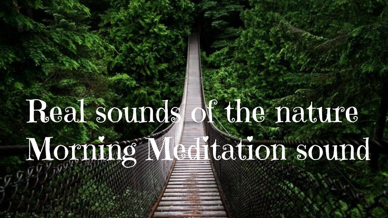 Fresh morning sounds| Nature beauty is the real beauty| village life ...