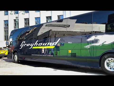 Greyhound's new buses
