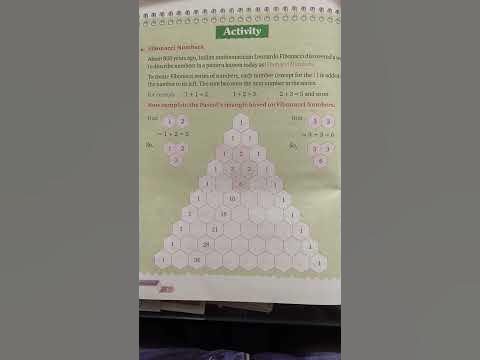Maths Activity||Fibonacci Numbers - YouTube