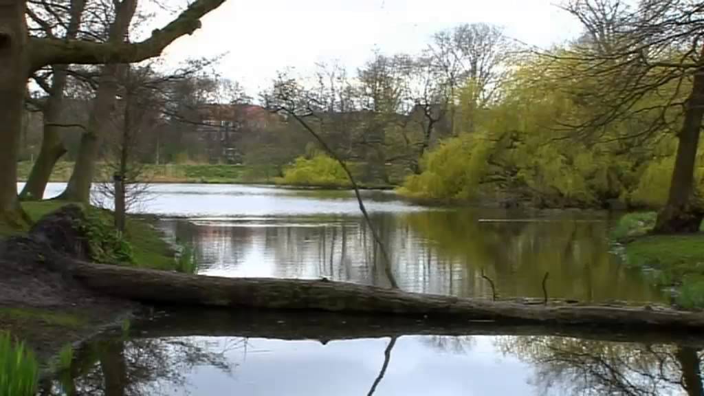 BLVC plan slotfase renovatie Vondelpark - YouTube