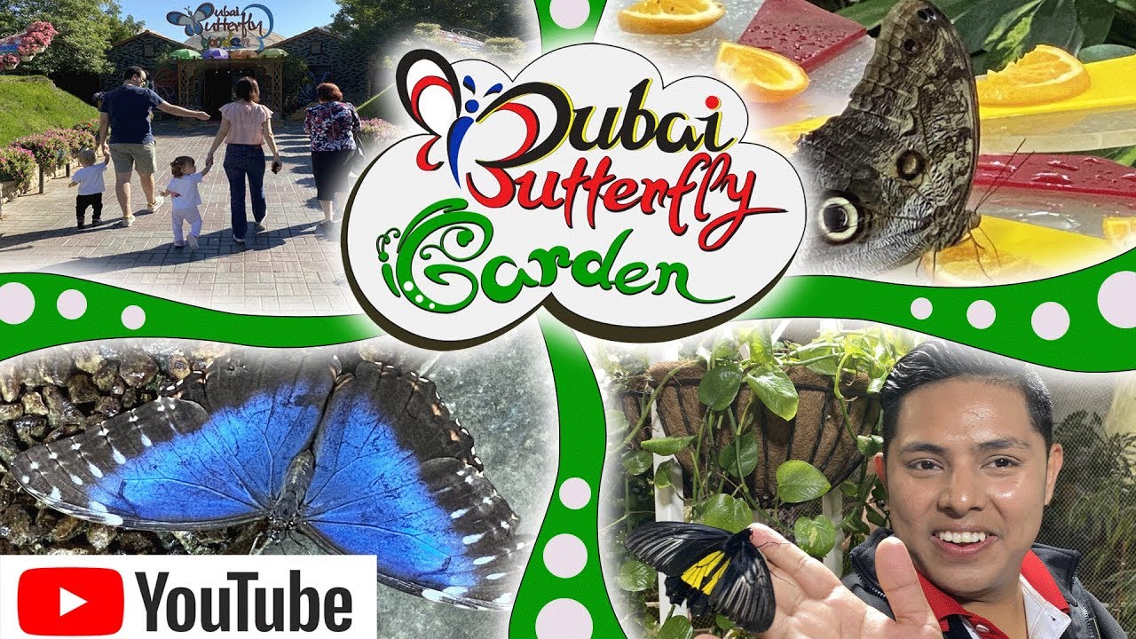 Dubai Butterfly Park UAE 15000 butterflies Dubai Miracle Garden ...