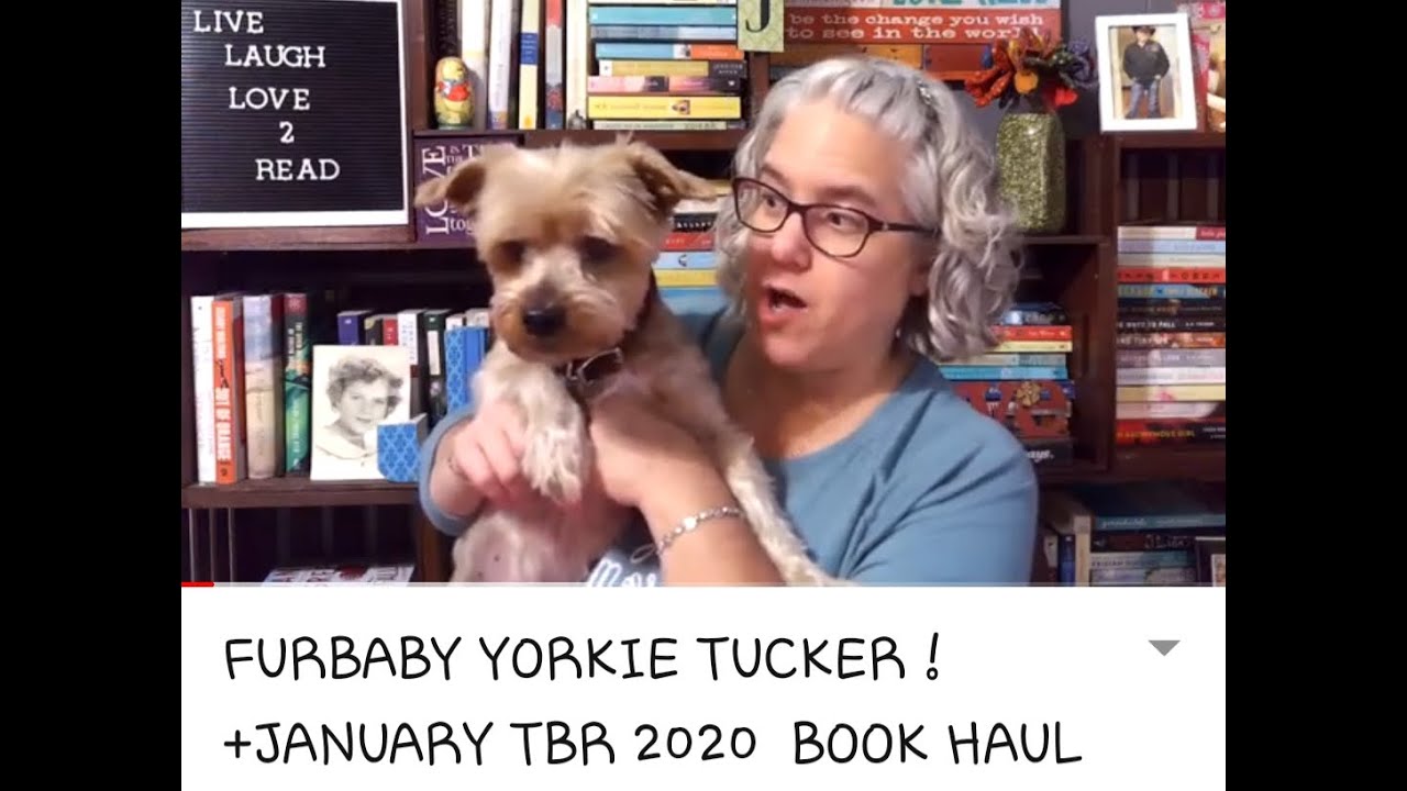 FURBABY YORKIE TUCKER ! +JANUARY TBR 2020 BOOK HAUL - YouTube
