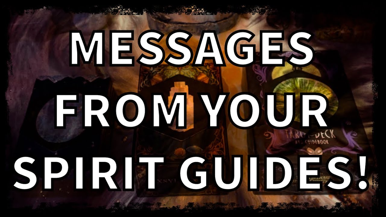 🦉MESSAGES FROM YOUR SPIRIT GUIDES!🪽🧂⚓️Timeless Pick A Card Tarot ...